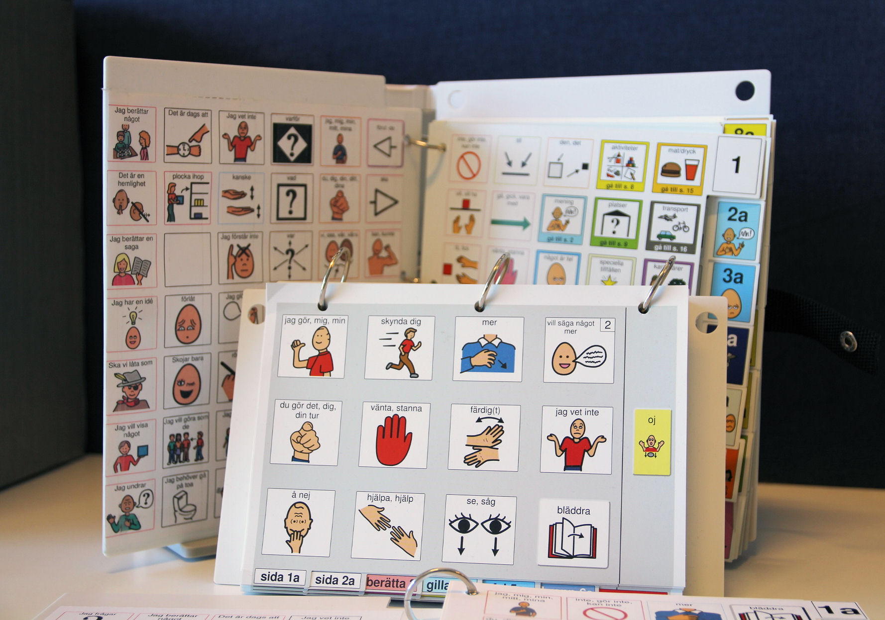 PODD-utbildningar med Gayle Porter i höst - Public_www