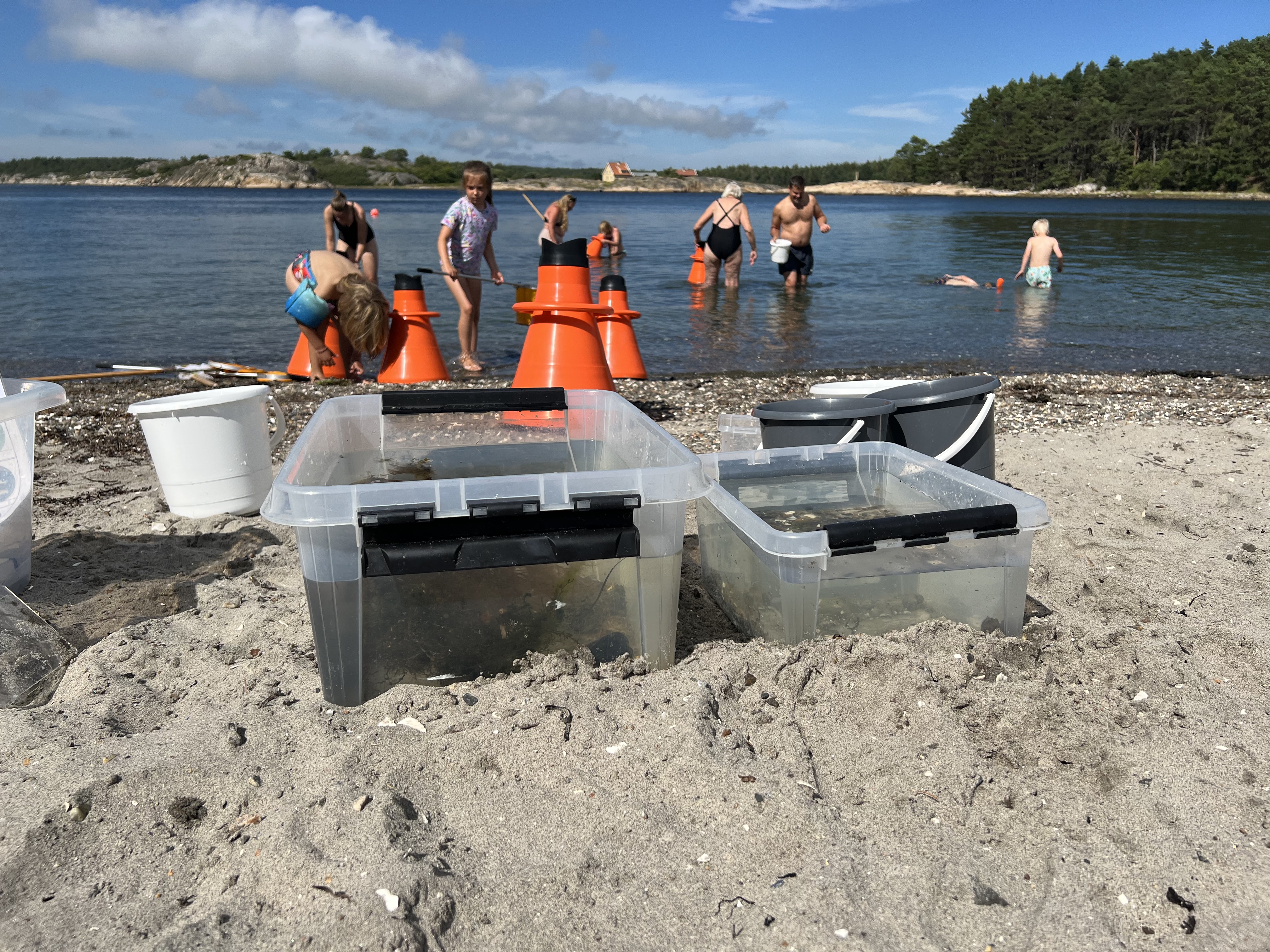 Strandexpedition på Syd- och Nordkoster - Public_www